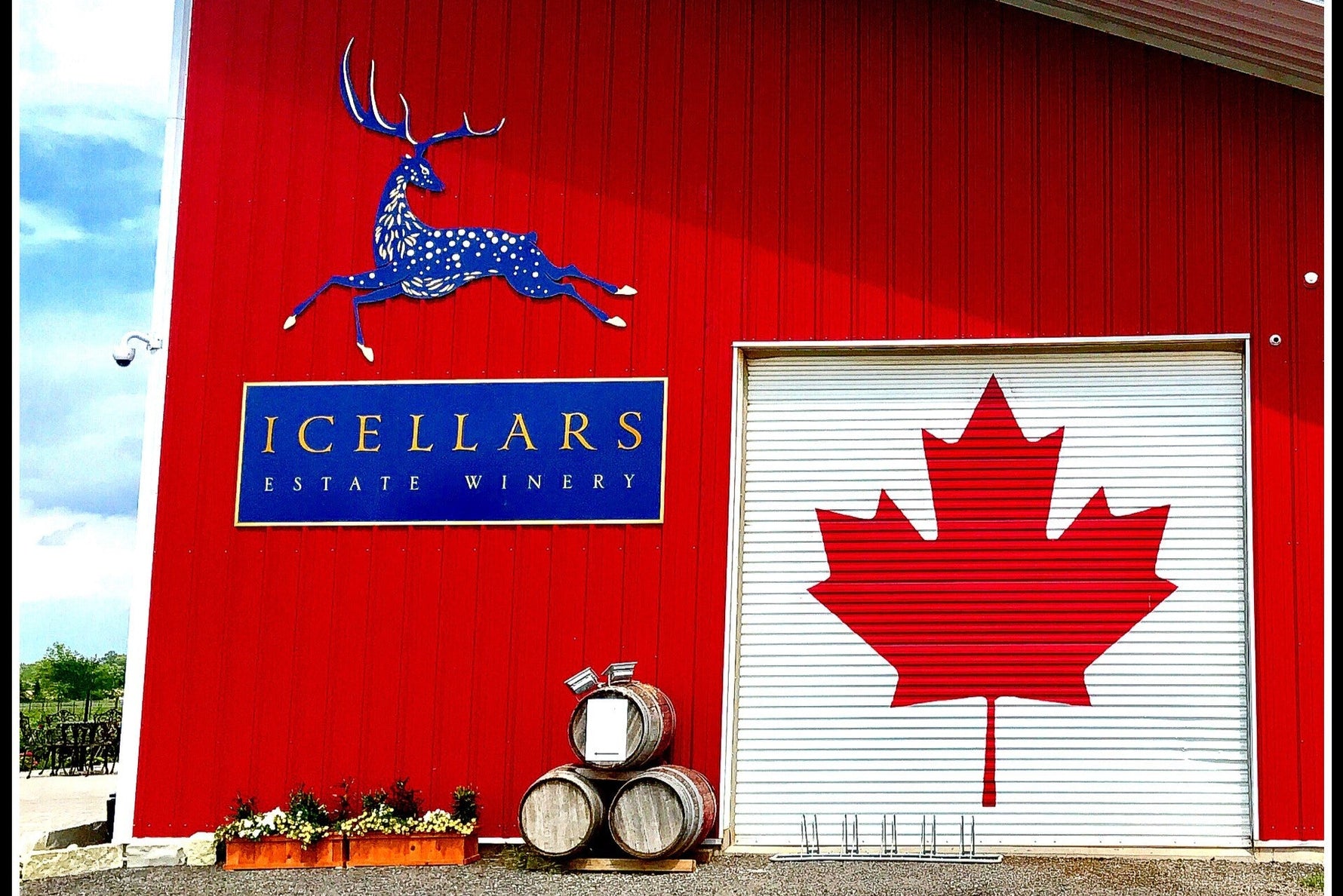 Icellars Estate Winery